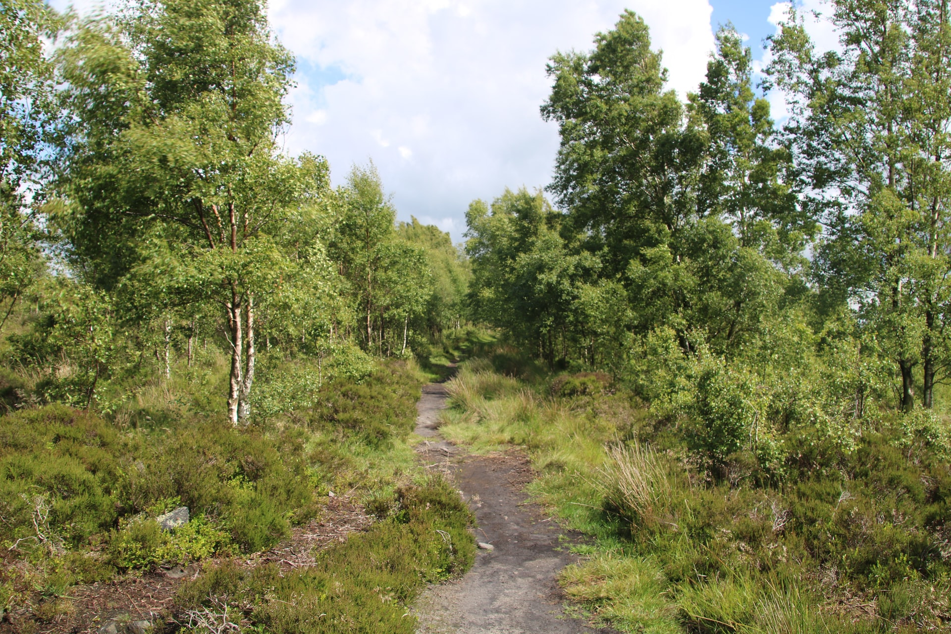 Shotover Country Park - Milton Hill House